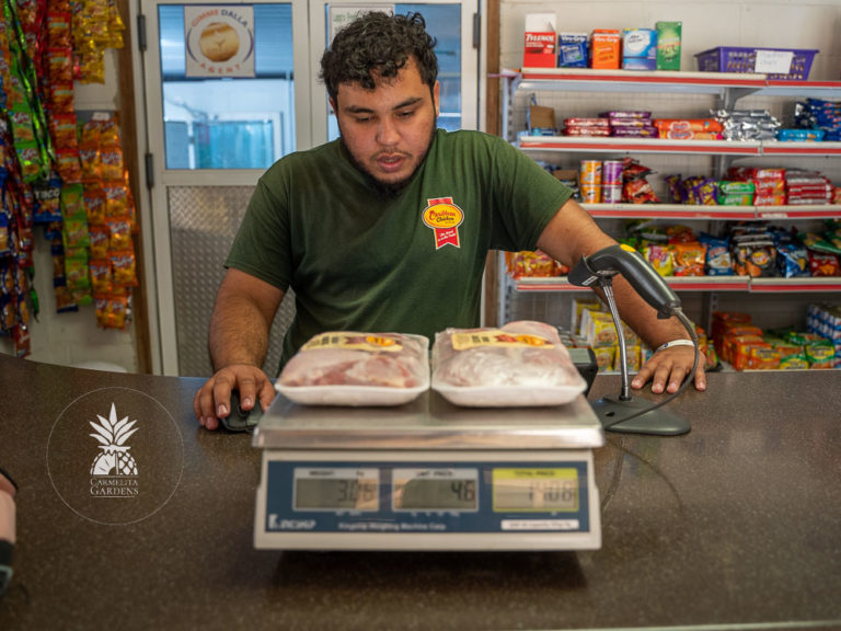 Your Helpful Guide to Grocery Shopping In Belize – Carmelita Gardens ...